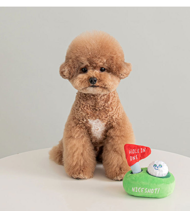 Dog Toys – EYS International
